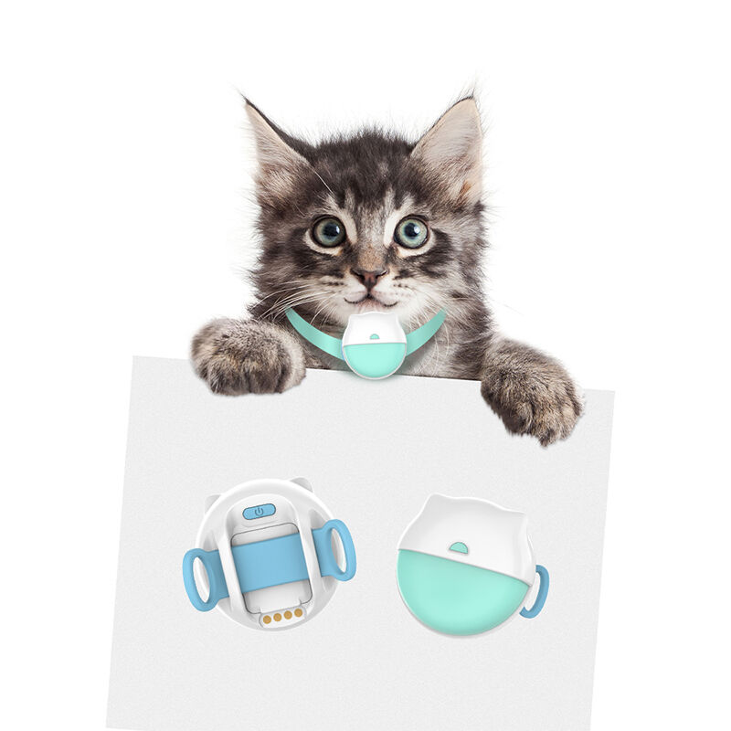 smallest gps tracker for cats,Eview GPS Cat Tracker for Real Time GPS and Wi-Fi Tracking